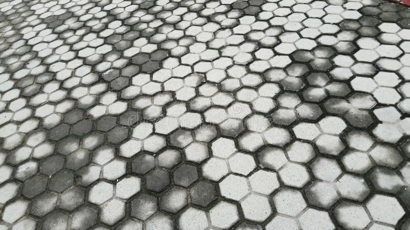 Hexagon Floor Tile in Grey Color Stock Photo - Image of tile, color ...
