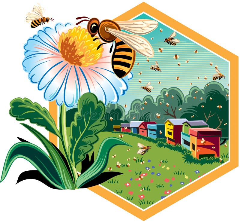Hexagon Frame with Worker Bees on Flowers. Stock Illustration ...