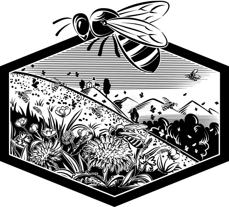 Hexagon Frame with Worker Bees on Flowers. Stock Illustration ...