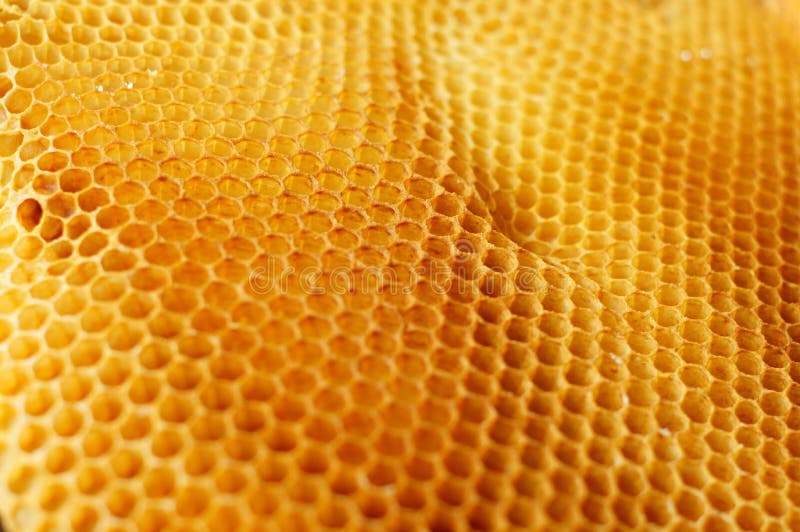 Golden Honeycomb Structure Side View Stock Photo - Image of honecomb ...