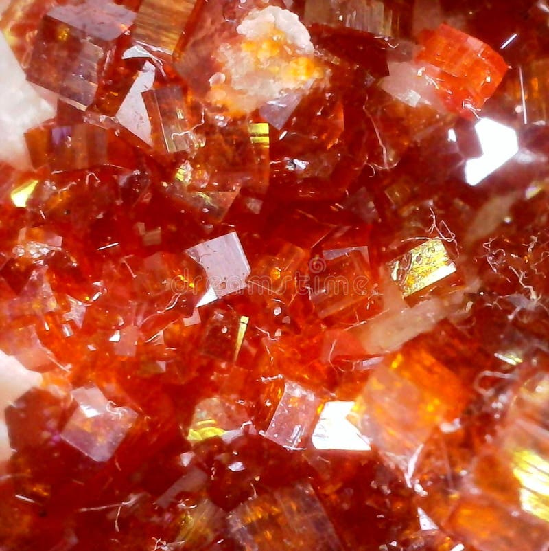 Micromount Stock Illustrations – 2 Micromount Stock Illustrations ...