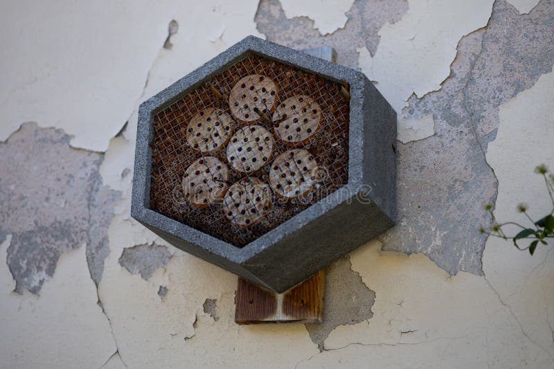 Hexagonal Insect Hotel Mounted on an Old Rustic Wall with Peeling Paint ...