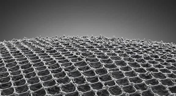 Hexagonal Lattice Structure in a Close-up View, Possibly Representing a ...