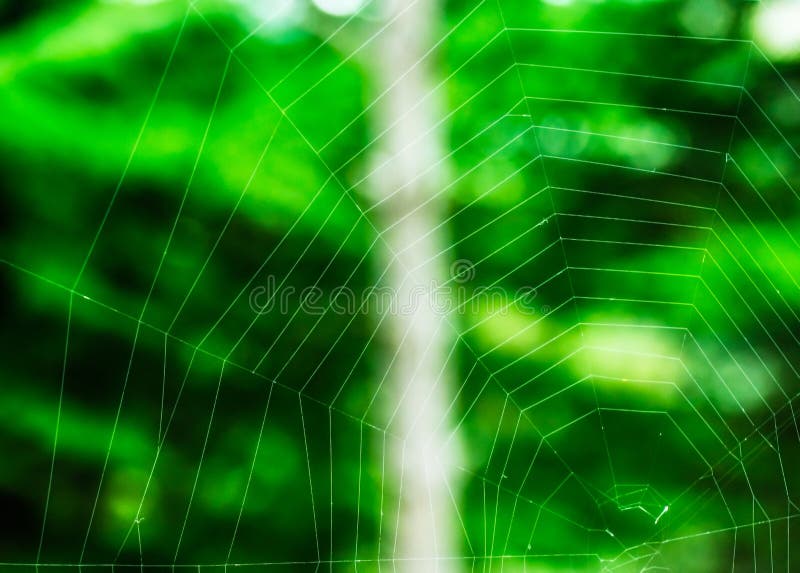 Hexagonal Spider Web stock image. Image of polygons - 115876297
