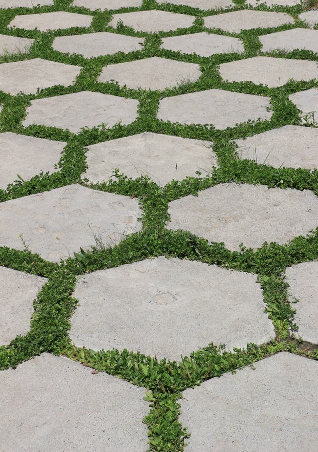 Small Hexagonal Tiles Seamless of Marble Stock Photo - Image of ...