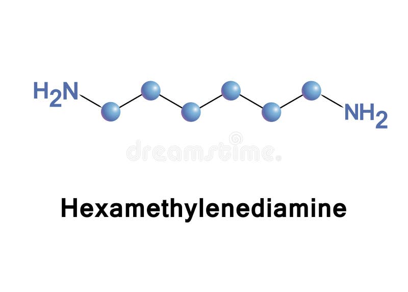 Hexamethylenediamine is a Diamine Stock Vector - Illustration of ...