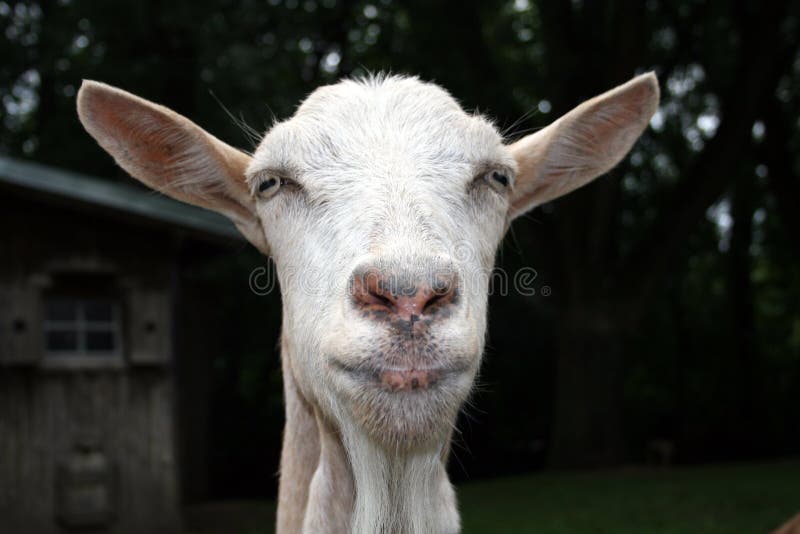 What? Picture. Image: 2307752