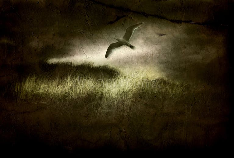 3,780 Hi Res Filejoker Stock Photos - Free & Royalty-Free Stock Photos ...