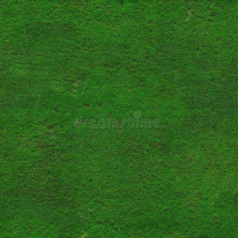 Hi-res green grass texture stock image. Image of land - 18186545