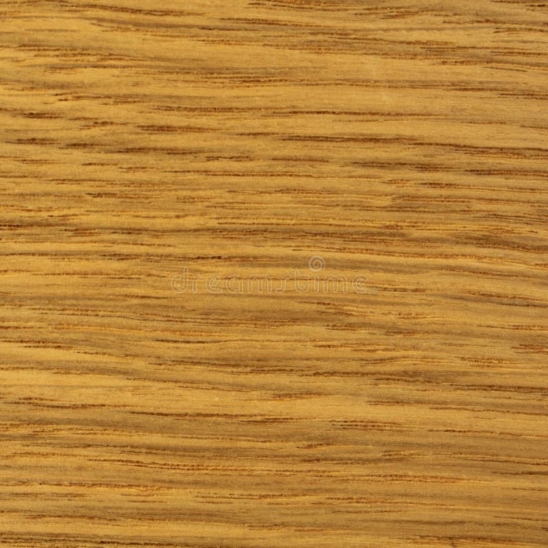Hi Resolution Oak Wood Texture. Stock Image - Image of indoor, closeup ...