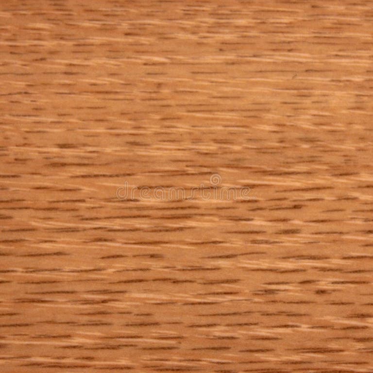 1,367 Hi Resolution Cameras Stock Photos - Free & Royalty-Free Stock ...