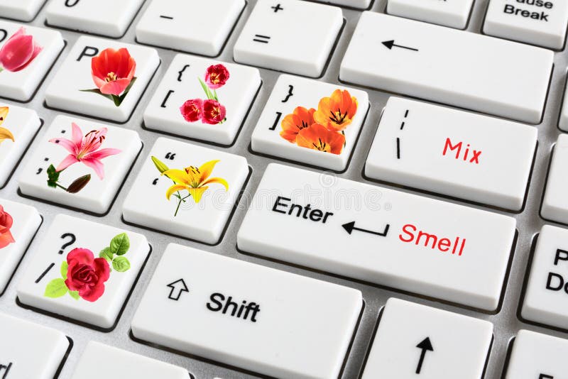 Hi-tech stock photo. Image of device, lily, keyboard - 25207216