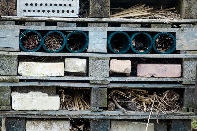 Hibernaculum for Invertebrates Stock Image - Image of environment ...