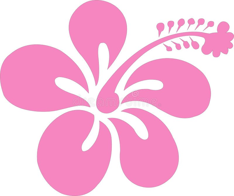 Pink Hibiscus flower stock vector. Illustration of hawaiian - 7595231