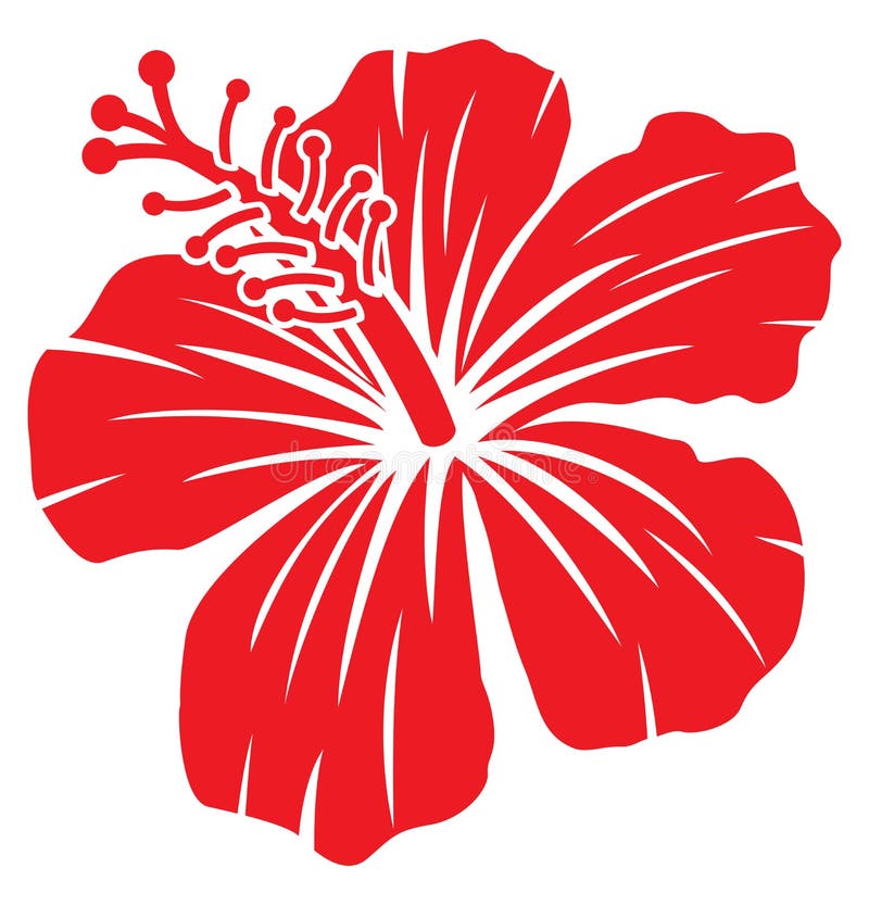 Hibiscus Flower Silhouette Stock Vector Illustration Of Nature