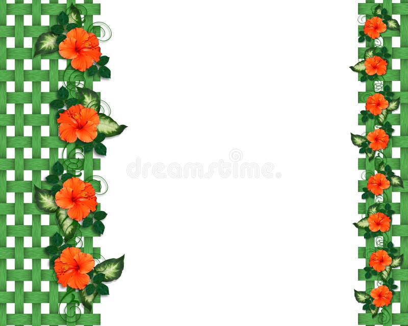 Hibiscus Borders stock illustration. Illustration of lattice - 4763882