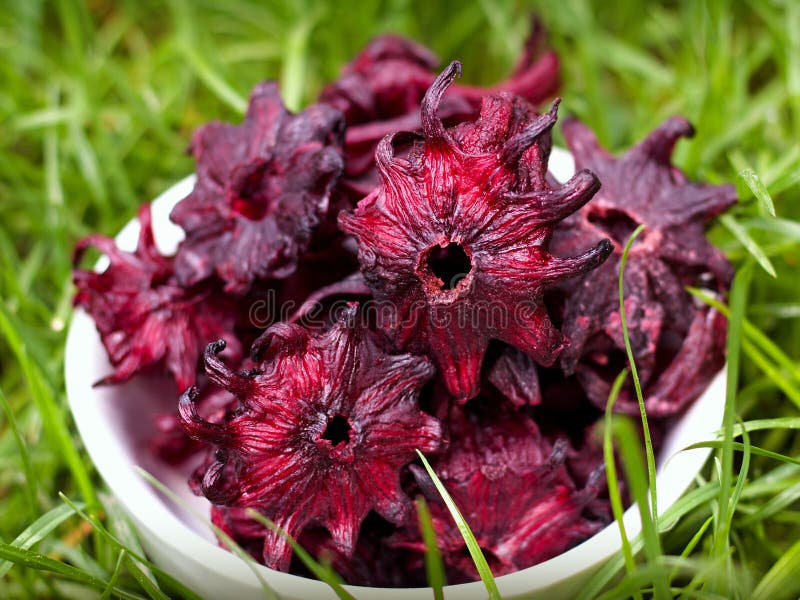 Candied Hibiscus Flowers Photos - Free & Royalty-Free Stock Photos from ...