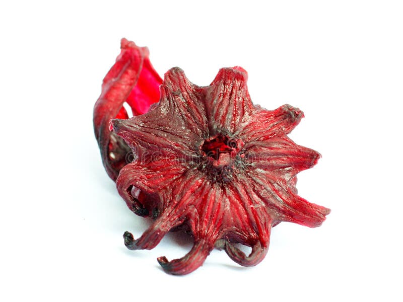Candied Hibiscus Flowers Photos - Free & Royalty-Free Stock Photos from ...