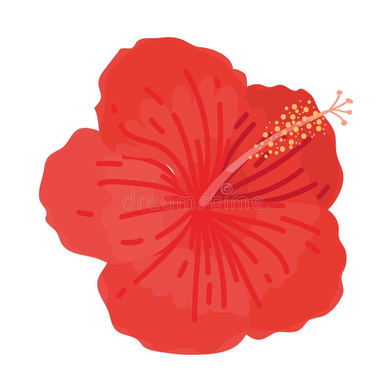 Hibiscus flower icon stock vector. Illustration of blossom - 246862020