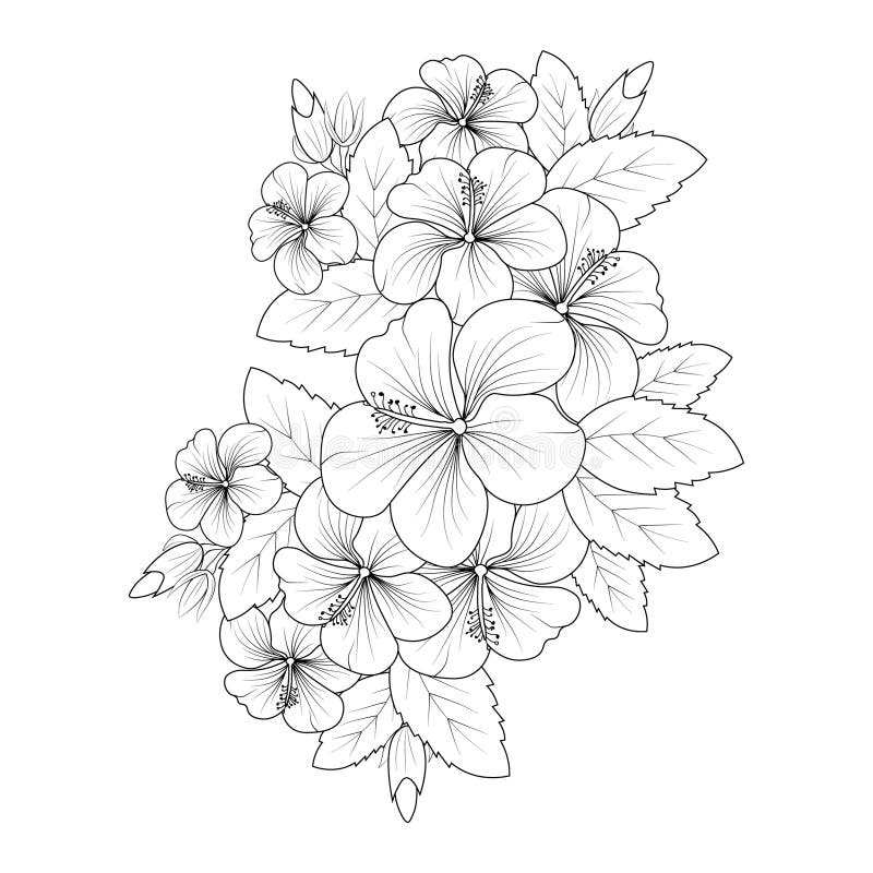 Hibiscus Flower Outline Stock Illustrations 3 199 Hibiscus Flower