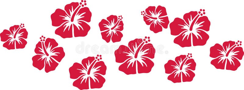 Hibiscus flower pattern stock vector. Illustration of symbol - 107170371