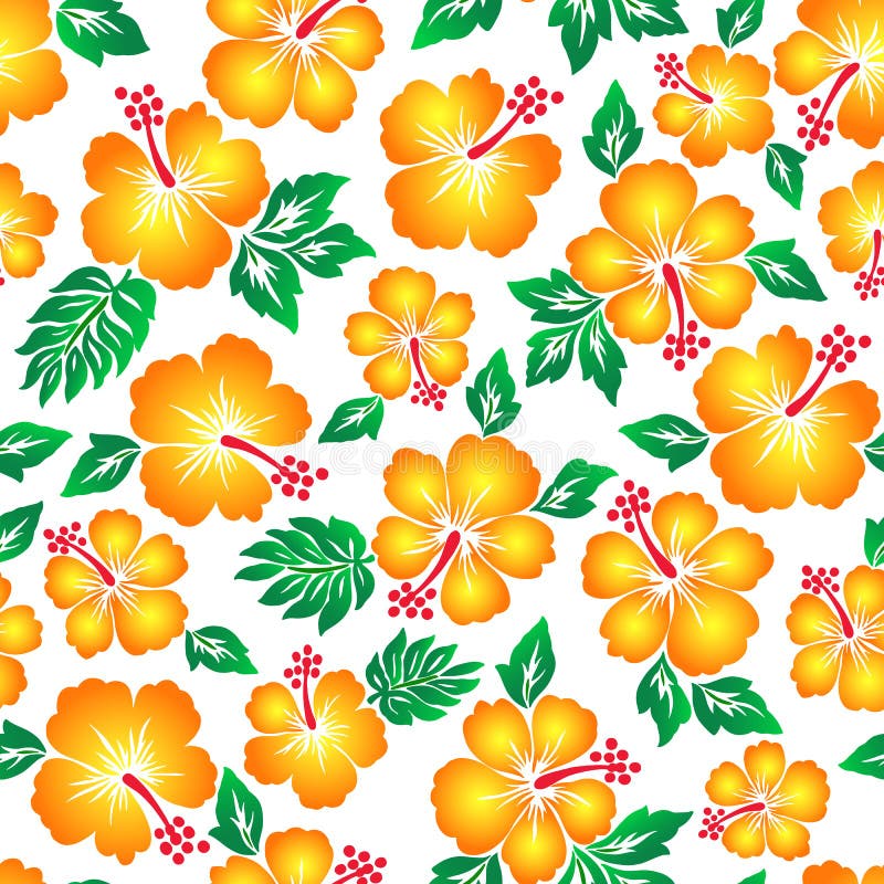 Hibiscus flower pattern stock illustration. Illustration of display ...