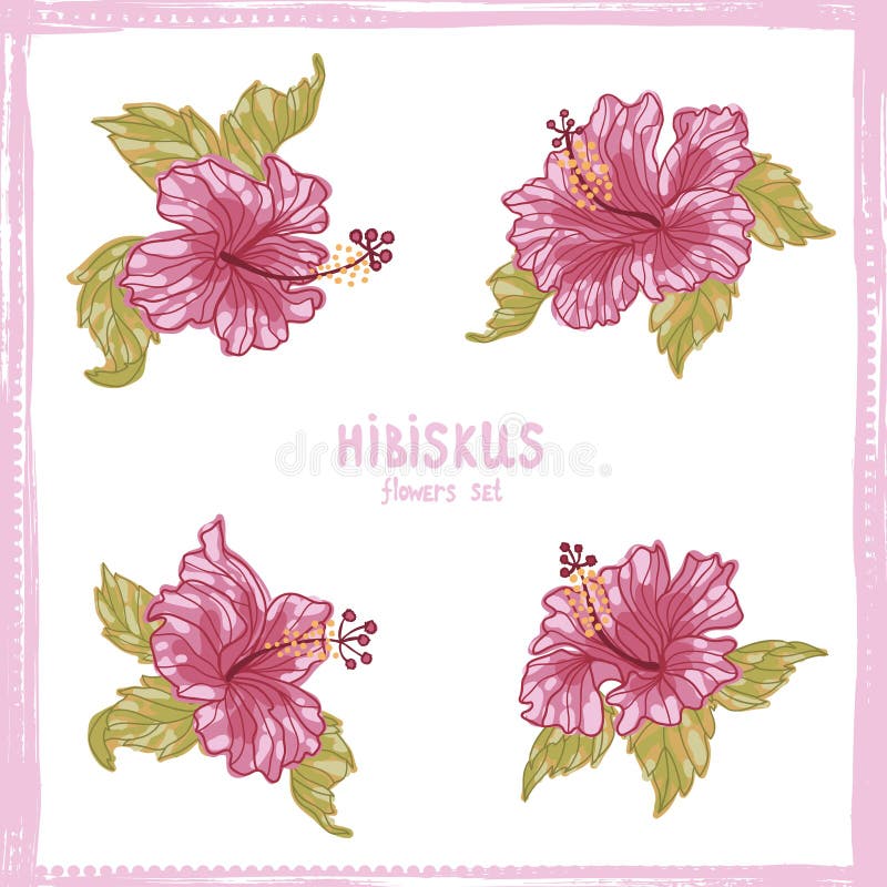 Hibiscus Flowers Hand Drawn Set Stock Vector - Illustration of flowers ...