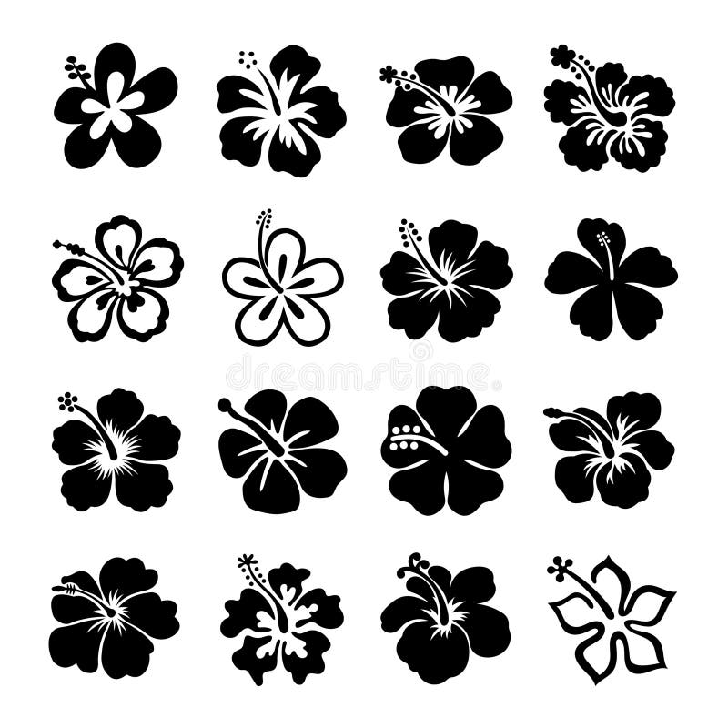 Black White Hibiscus Flower Shape Stock Illustrations – 391 Black White ...