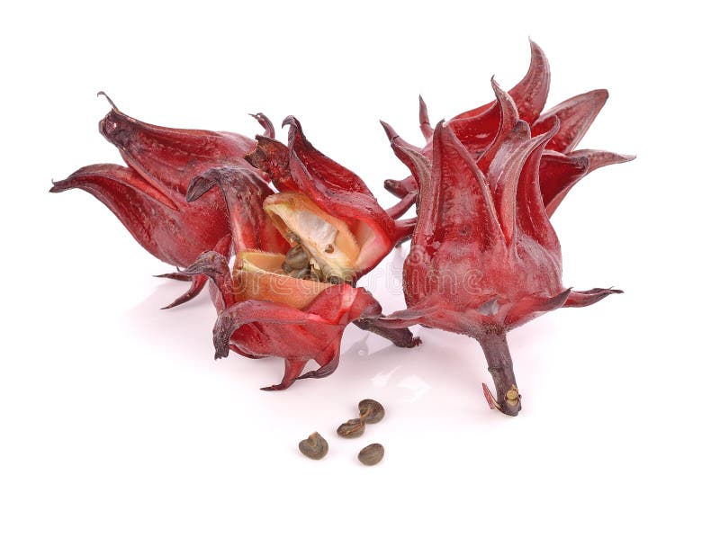 Hibiscus Sabdariffa or Roselle Fruits Stock Image - Image of nature ...