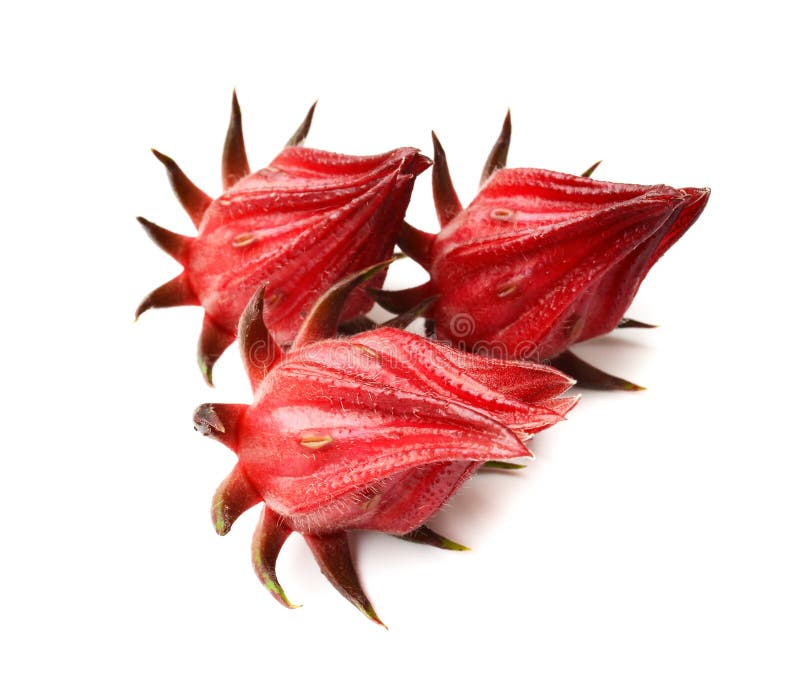 Hibiscus Sabdariffa or Roselle Fruits. Stock Photo - Image of sweet ...