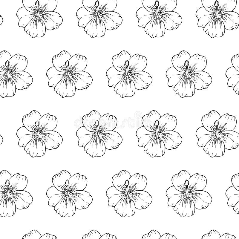 Hibiscus Seamless Pattern Isolated on White Background. Vector ...