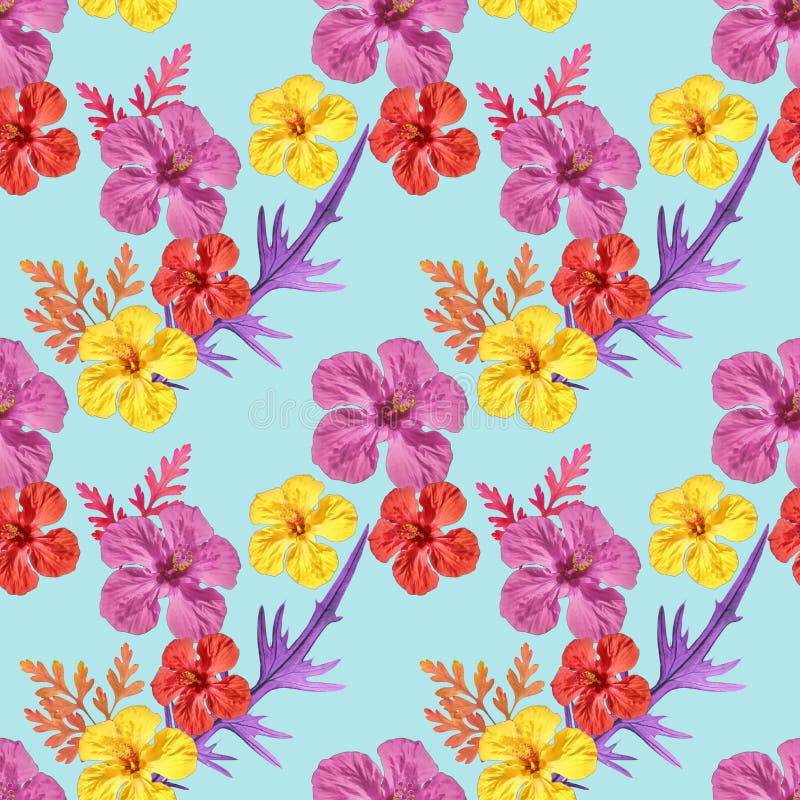 Hibiscus. Seamless Pattern Texture of Flowers. Floral Background Stock ...