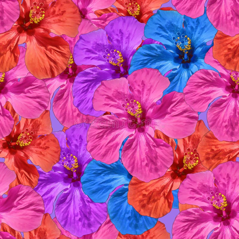 Hibiscus. Seamless Pattern Texture of Flowers. Floral Background Stock ...