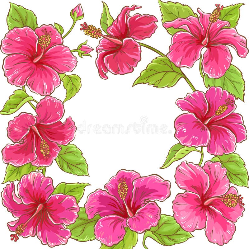 Frame Hibiscus Vector Stock Illustrations – 6,300 Frame Hibiscus Vector ...