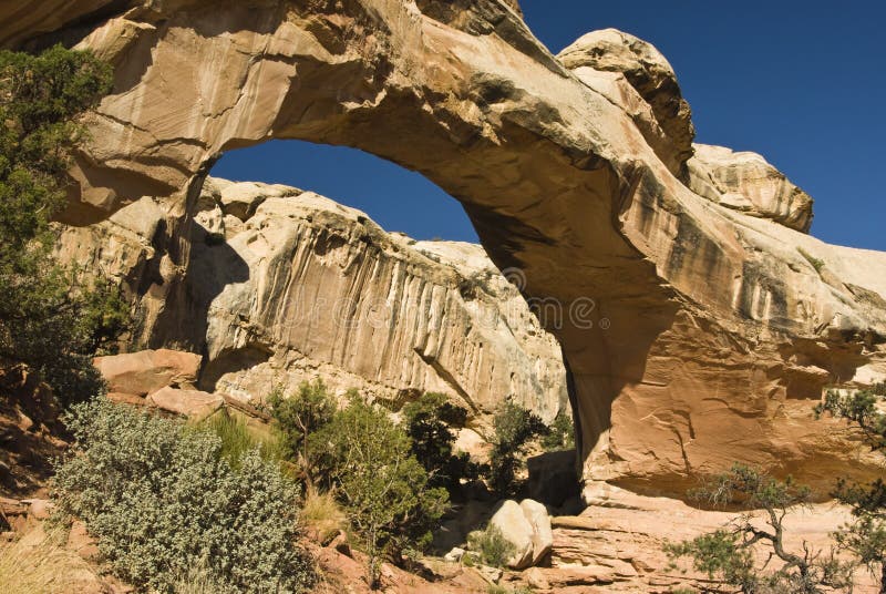 Hickman Bridge arch stock image. Image of southwest, canyon - 7642031