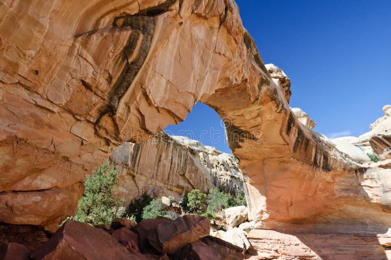 Hickman Bridge Natural Rock Arch Stock Photo - Image of monolith ...