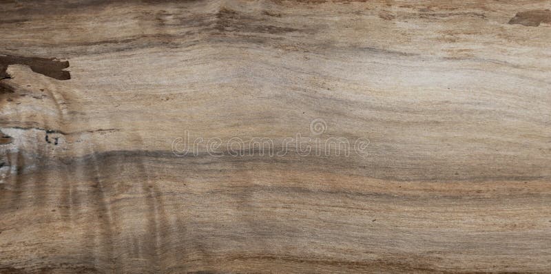 Hickory wood texture stock image. Image of brunette - 110437425