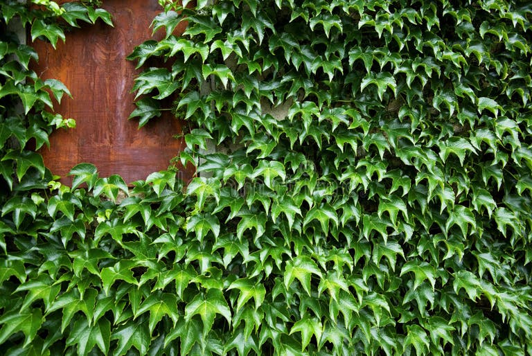 8,411 Hidden Pattern Stock Photos - Free & Royalty-Free Stock Photos ...