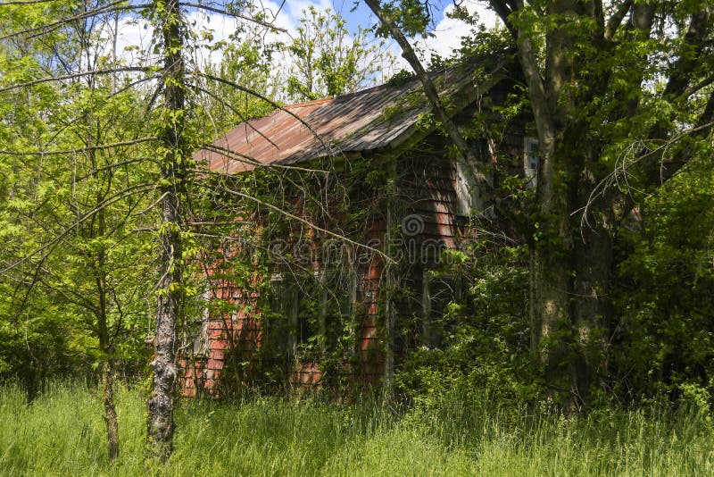 A hidden abandoned house stock image. Image of house - 184929319