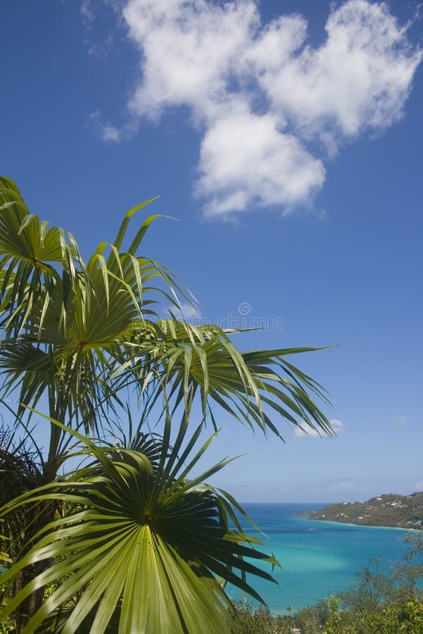 Beautiful St. Thomas view stock photo. Image of aerial - 4205190