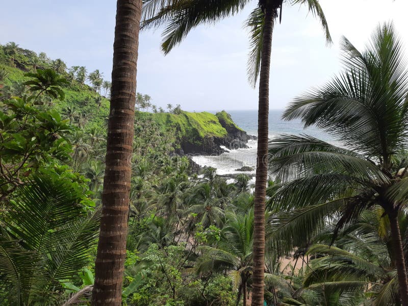 Hidden Beach Cover with Palm Tree in Goa. Coconut Trees on the Beach ...