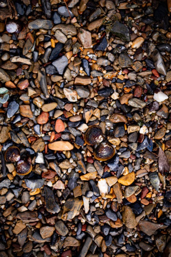 Colorful rocks stock image. Image of stonewall, tree - 252461543