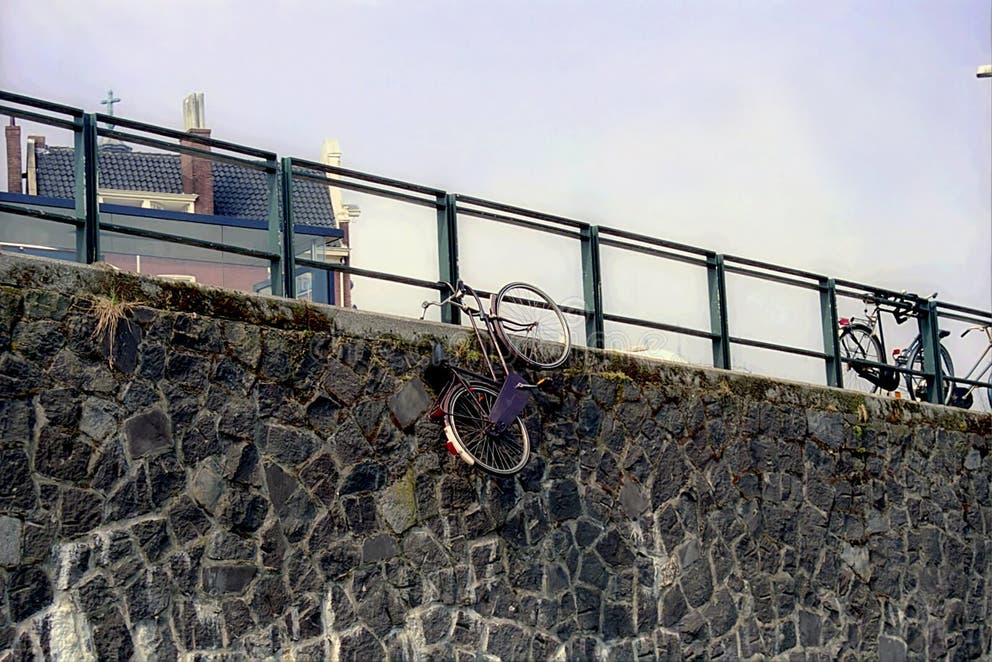 Hidden bike stock photo. Image of embankment, hidden, fence - 312686