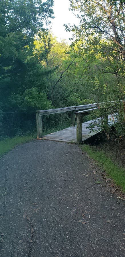 Hidden Bridge at Park stock photo. Image of hidden, nature - 157692226