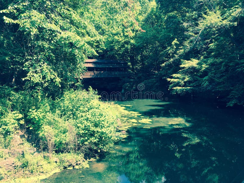 Hidden bridge stock photo. Image of landmark, bridge - 28697856