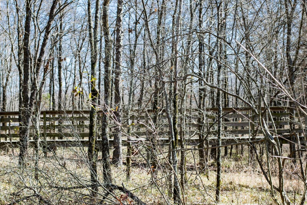 The Hidden Bridge stock photo. Image of trail, landscape - 175648522