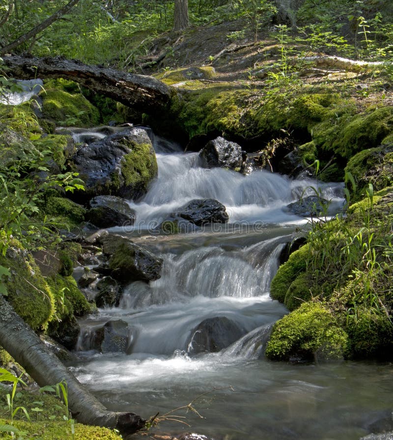 Brook and Waterfalls stock image. Image of trees, creek - 10679495