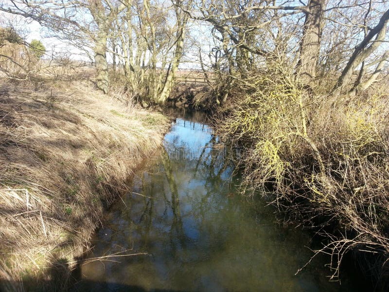 Hidden Burn, Scottish Countryside Stock Photo - Image of burn, sunny ...