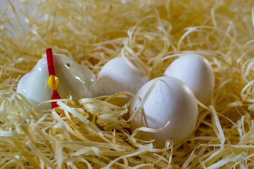 The hidden chicken stock image. Image of white, easter - 144450737
