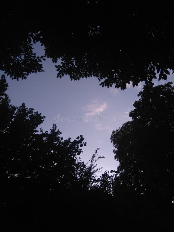 Hidden Cloud stock photo. Image of hidden, leaves, tiny - 79830638